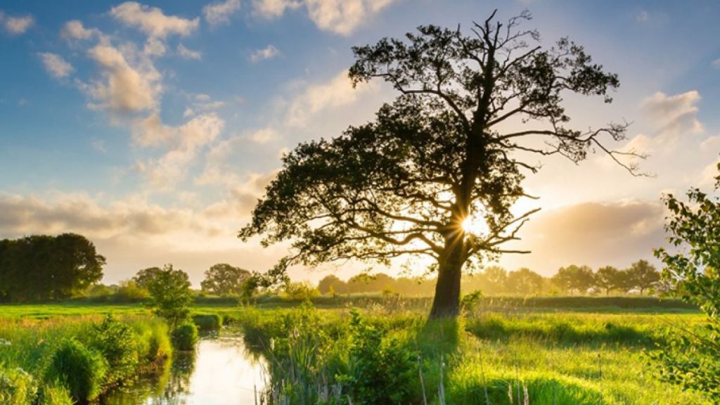 De top 10 mooiste natuurgebieden in Groningen – De Nederlandse ...